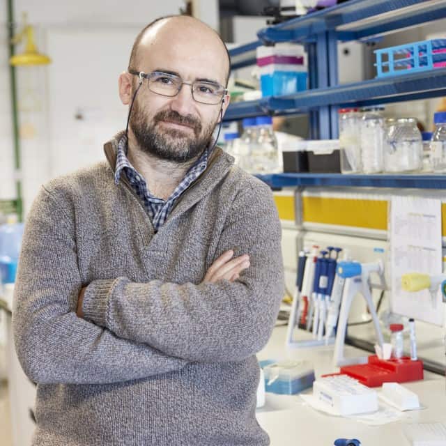 In conversation with Dr. Federico Herrera, Group Leader of the Cell Structure and Dynamics (CSD ...